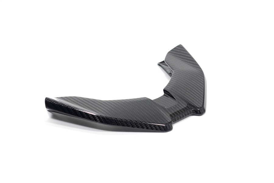 Carbon Front Beak for the M 1000 XR