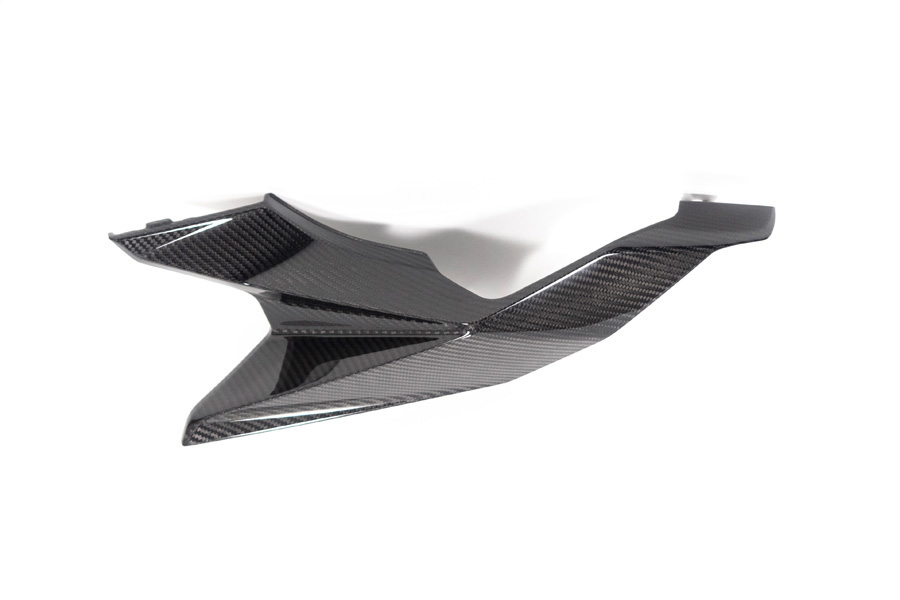 Carbon Rear Fairing for the BMW M 1000 XR | Wunderlich