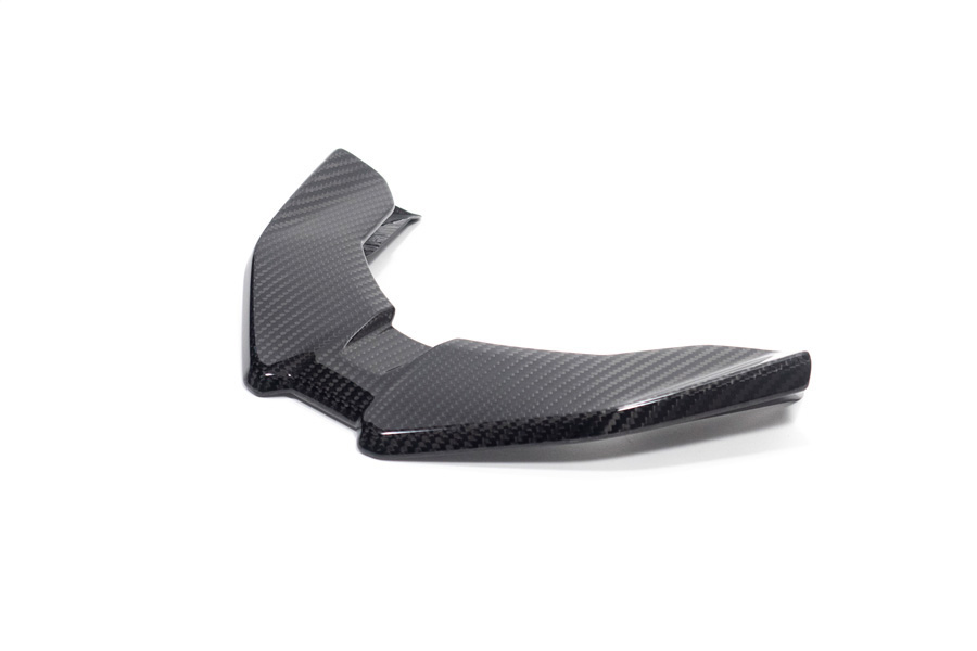 Carbon Front Beak for the M 1000 XR