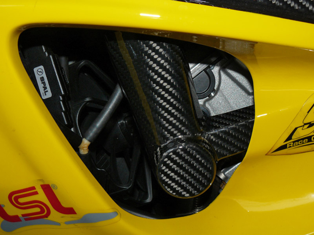 Frame protection pad carbon (right)